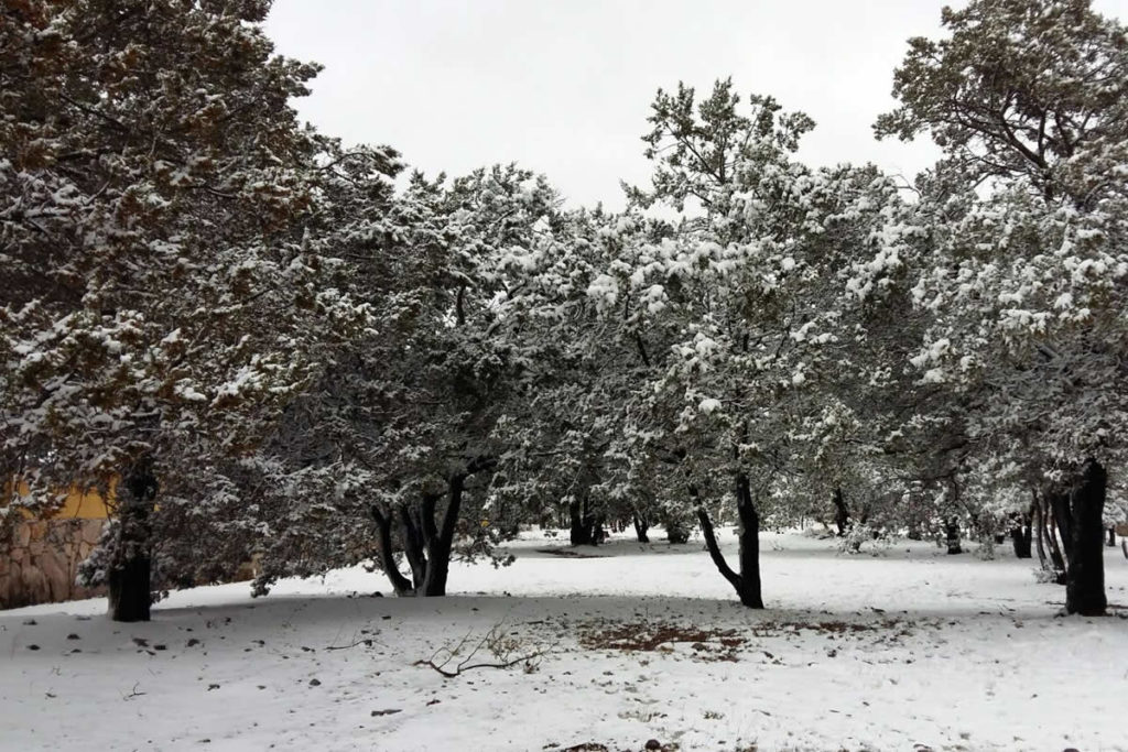 Cinco destinos para disfrutar de la nieve en México : Fiancee Bodas