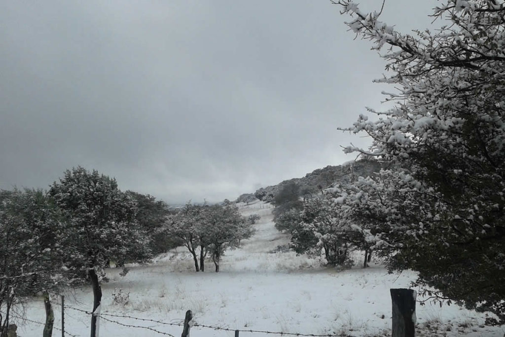 Cinco destinos para disfrutar de la nieve en México : Fiancee Bodas