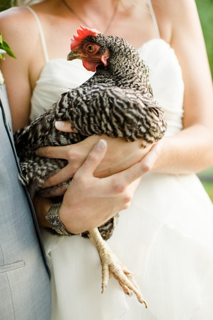 Divertidas ideas para incluir a tu mascota en la boda : Fiancee Bodas