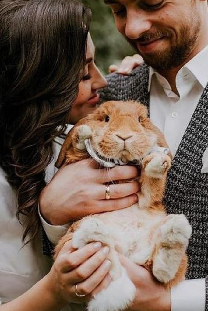 Divertidas ideas para incluir a tu mascota en la boda : Fiancee Bodas