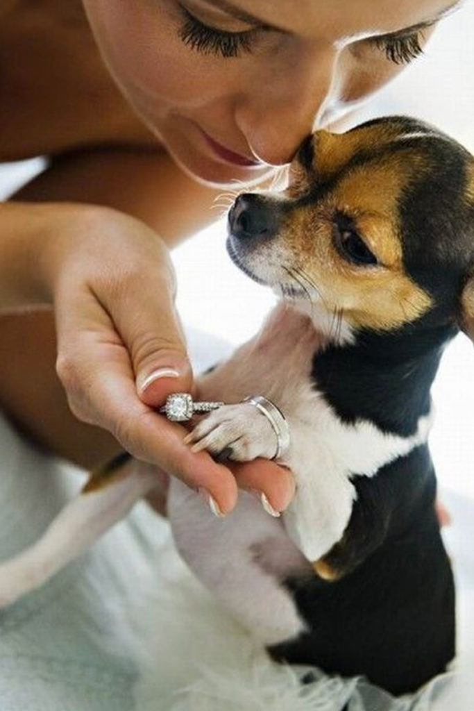 Divertidas ideas para incluir a tu mascota en la boda : Fiancee Bodas
