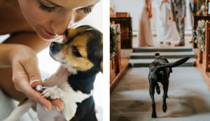 Divertidas ideas para incluir a tu mascota en la boda : Fiancee Bodas