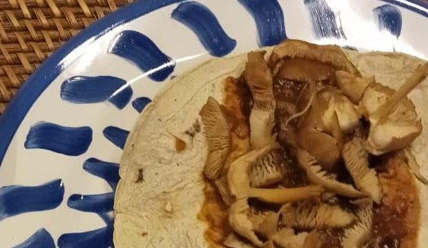 Aprenda a preparar estos deliciosos tacos de hongos adobados y ...